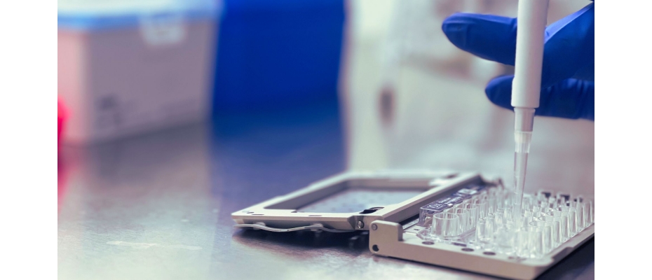 FixNCut, a new method for early sample preservation to overcome the ...