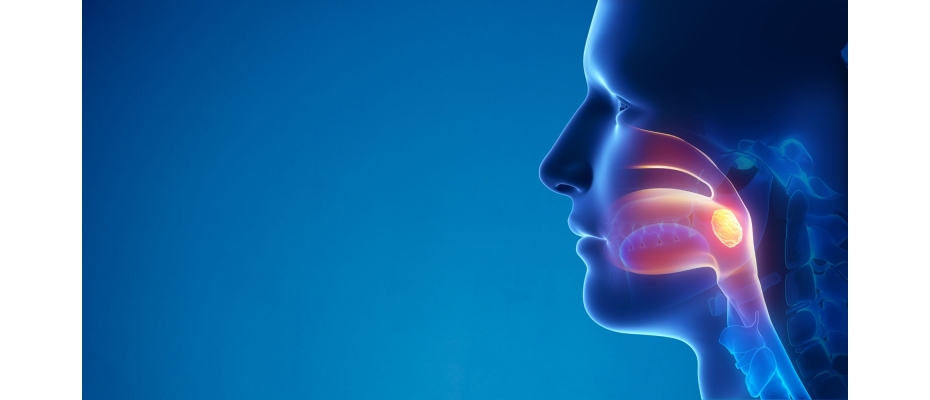 The cellular atlas of the human tonsil, a key to the understanding of ...